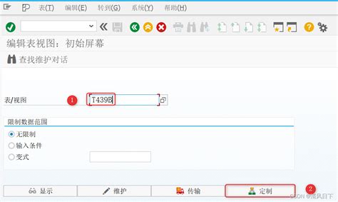 25 如何通过后台表来找spro对应的路径？how To Find Img Or Spro Configuration Path From