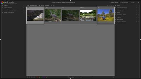 Lighttable Flashing Borders Around Images Randomly Ish · Issue 5144 · Darktable Org