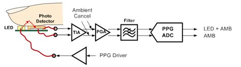 一文详解光电容积图 Ppg 和心电图 Ecg 基本工作原理光电容积法的工作原理 Csdn博客