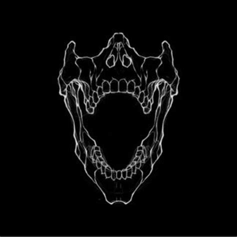 Stream D O L O K O N Listen To Incase You Were Wondering What My