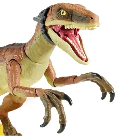 Jurassic World Amber Collection Velociraptor Echo Exclusive 6 5 Action