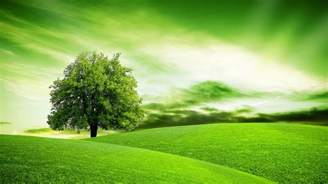Meadow Hd Wallpapers Page 2