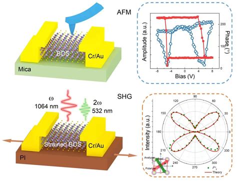 Highlited Publications Xiao Lins Lab
