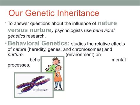 General Psych Neurobiological Bases Ppt
