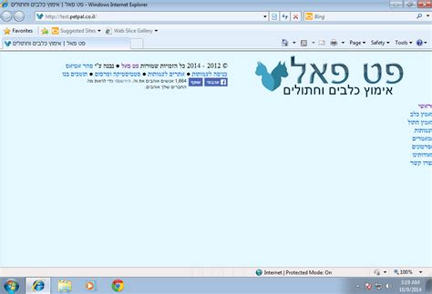 How To Make This Div 100 Height 28 By Ralphm Html And Css