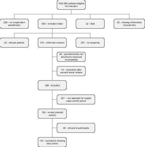 Flow Chart Of Patient Inclusion Download Scientific Diagram