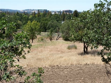 Seven Hills Development Vote Expected Tuesday Walnut Creek Ca Patch