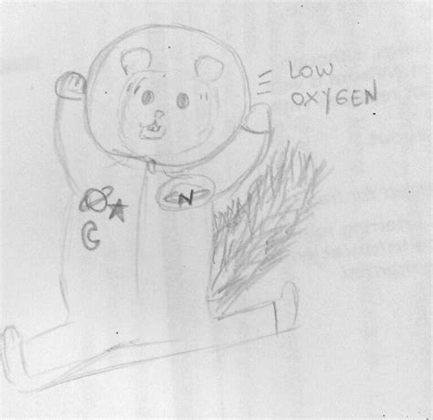 Github Hdf1996nginx Magic An Group Of Typical Nginx Configurations Files