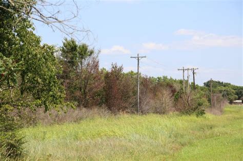 Amy Newkirk Posted On Linkedin