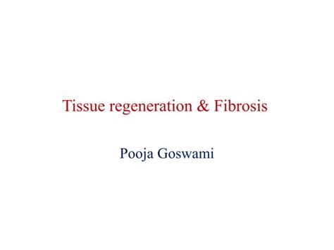 Extracellular Matrix And Its Components Pptx