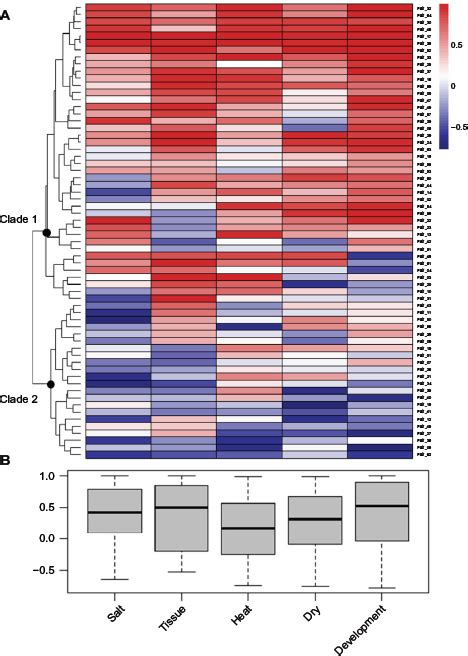 expression patterns of duplicate gene pairs a the heatmap was