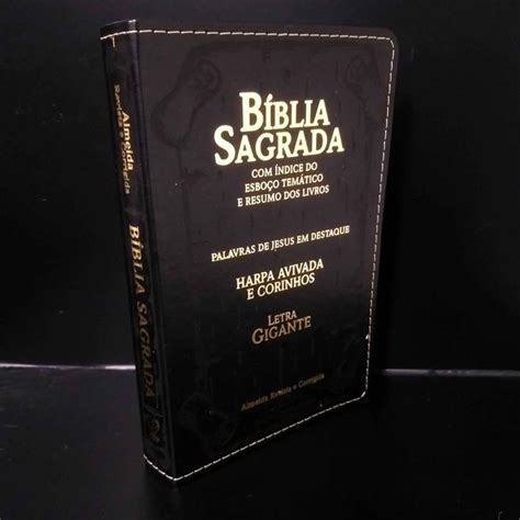 Biblia Sagrada Moderna Tradicional Jovem Harpa Ltra Grande Sk CPP