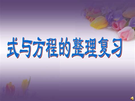 《式与方程的整理与复习》ppt课件word文档在线阅读与下载无忧文档