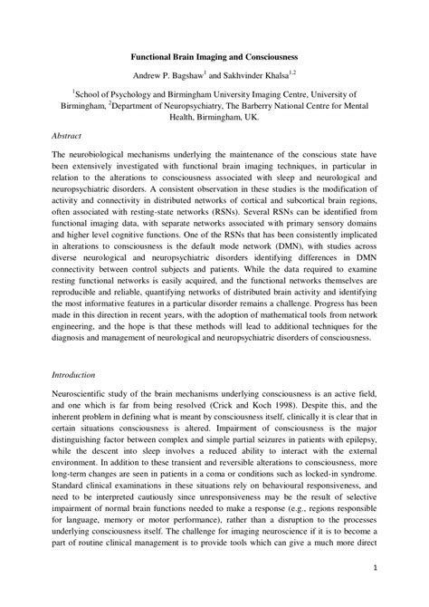PDF Functional Brain Imaging And Consciousness