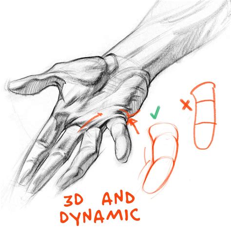Proko Anatomy Critiques Hands Part Drawing Tips Realistic