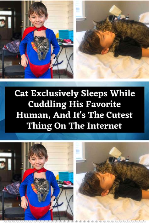 Cat Exclusively Sleeps While Cuddling His Favorite Human And It S The