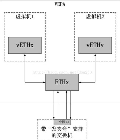 图解几个与linux网络虚拟化相关的虚拟网卡 Vethmacvlanmacvtapipvlan Csdn博客