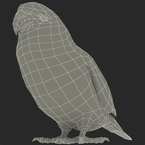 Eastern Rosella 3d Model 79 3ds Max Obj Ma C4d Free3d