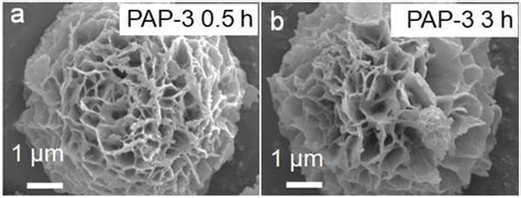 Controllable Construction Of Amino Functionalized Dynamic Covalent Porous Polymers For High