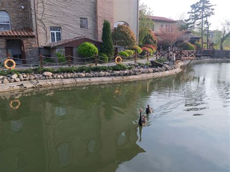 2023芭东小镇温泉玩乐攻略非常优美的环境，仿佛置身于【去哪儿攻略】