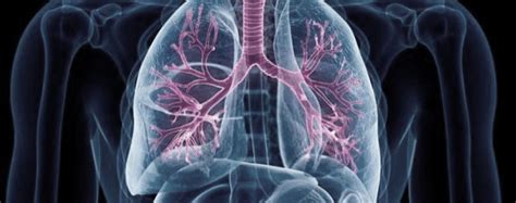 ¿quÉ Es La Fibrosis QuÍstica Centro Cultural De La Salud