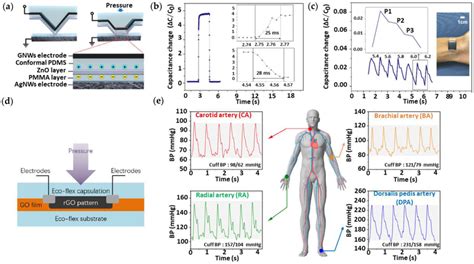 schematic a response time b and real time pulse wave detection
