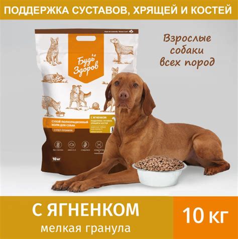 Будь Здоров Живая Сила. Сухой полнорационный корм для взрослых собак ...