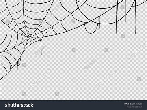Halloween Party Background Spiderwebs Isolated Png Stock Vector
