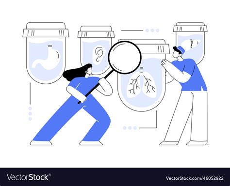 Lab Grown Organs Abstract Concept Royalty Free Vector Image