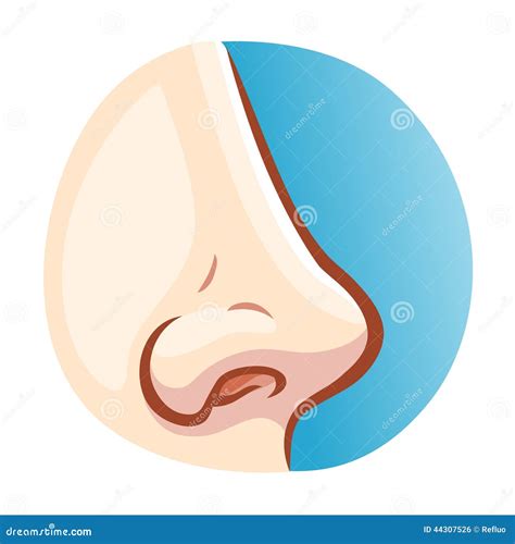 Man Nose Stock Vector Image 44307526