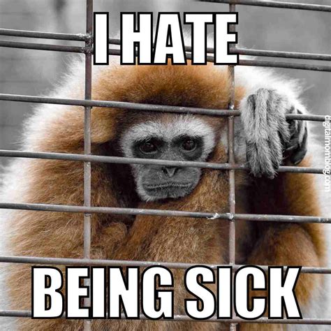 25 Best Sick Memes A Hilarious Prescription For Laughter