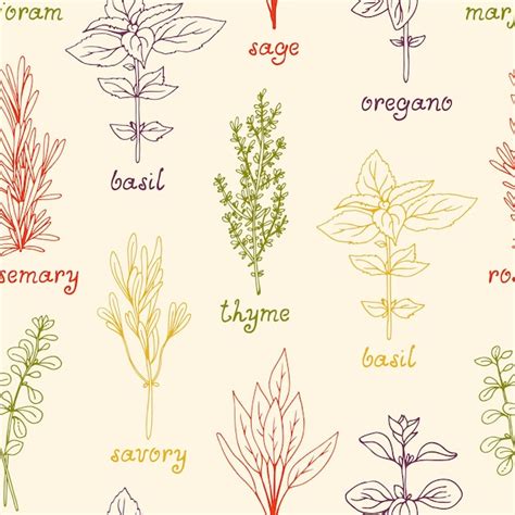 Premium Vector Seamless Vector Pattern With Culinary Herbs Medicinal