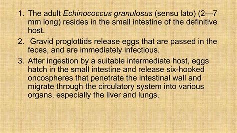 Echinococcus Granulosus Anand Gurmaita Ppt