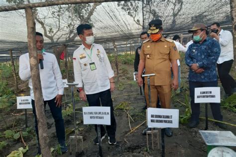 Mentan Serahkan Bantuan Pertanian Rp26 Miliar Ke Sidrap ANTARA News