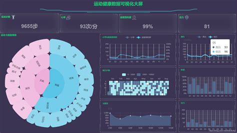 【10】数据可视化：基于 Echarts Python 实现的动态实时大屏范例 运动健康pythonvue3 实时大屏 Csdn博客