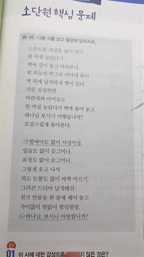 국어 문학 현대시 오누이