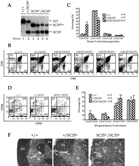 Sc35 Plays A Role In T Cell Development And Alternative Splicing Of