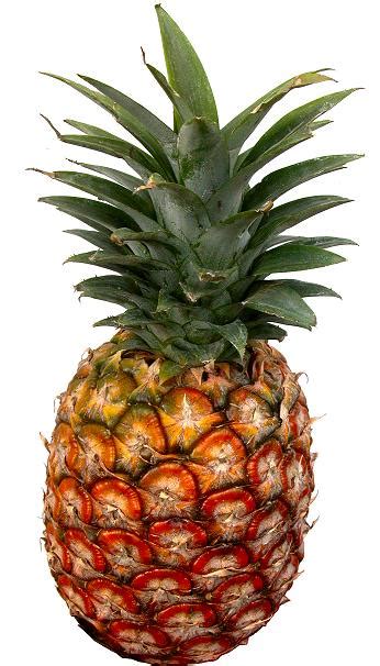 L ANANAS
