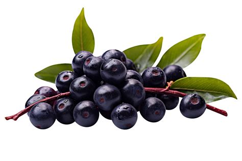 Fresh Bunch Acai Berries Isolated On Transparent Background 27143580 PNG