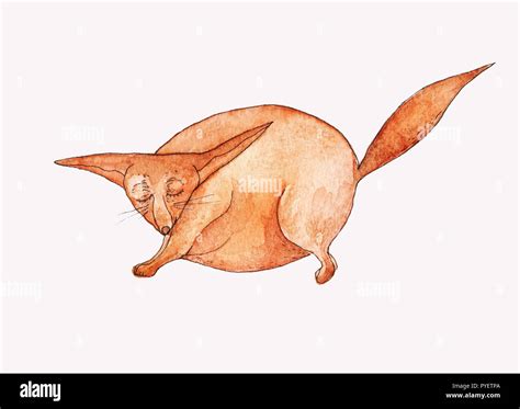 Watercolour Red Cartoon Fat Fox Isolated On White Background Cute