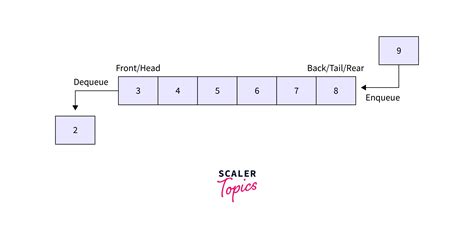 difference between primitive and non primitive data structure scaler topics