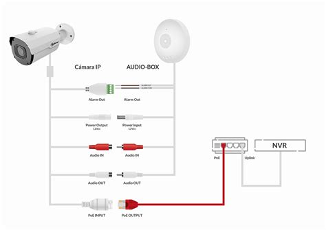 Golmar Safelink Services Ltd