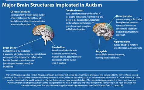 FCTI Autism