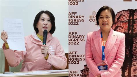 王鴻薇提案砍元首卸任禮遇！綠委控抄襲 爆當年沒過是「這原因」