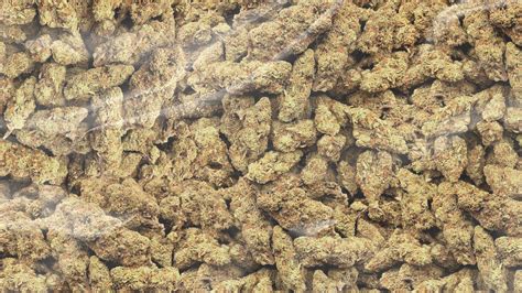 Why Nitrogen Sealed Packaging For Bulk Thca Flower Hemp Living Wholesale