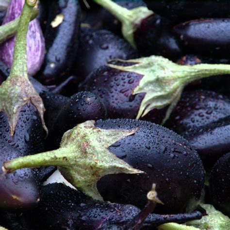 How And How Long To Cook Eggplants