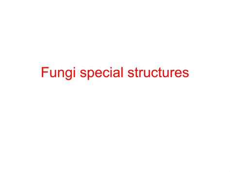 Fungi Nutrition Pptx