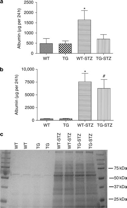 Urinary Protein Excretion A The 24 H Urinary Albumin Excretion In