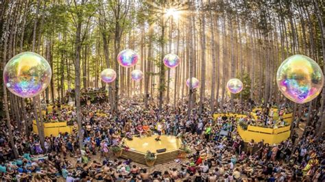 Electric Forest Unveils Full Lineup For 2024 Festival