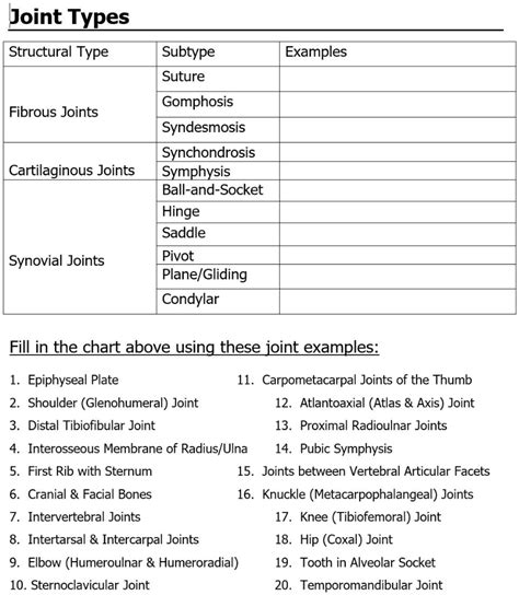joint types structural type subtype examples suture gomphosis fibrous